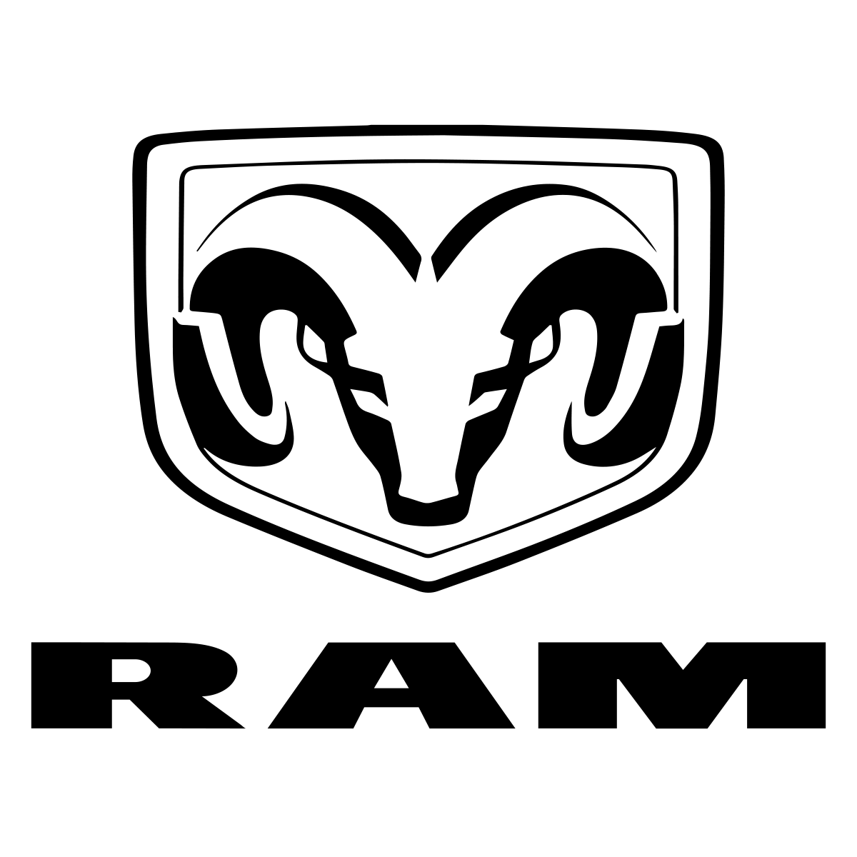 Ram Turbo Systems - Hellion Turbo